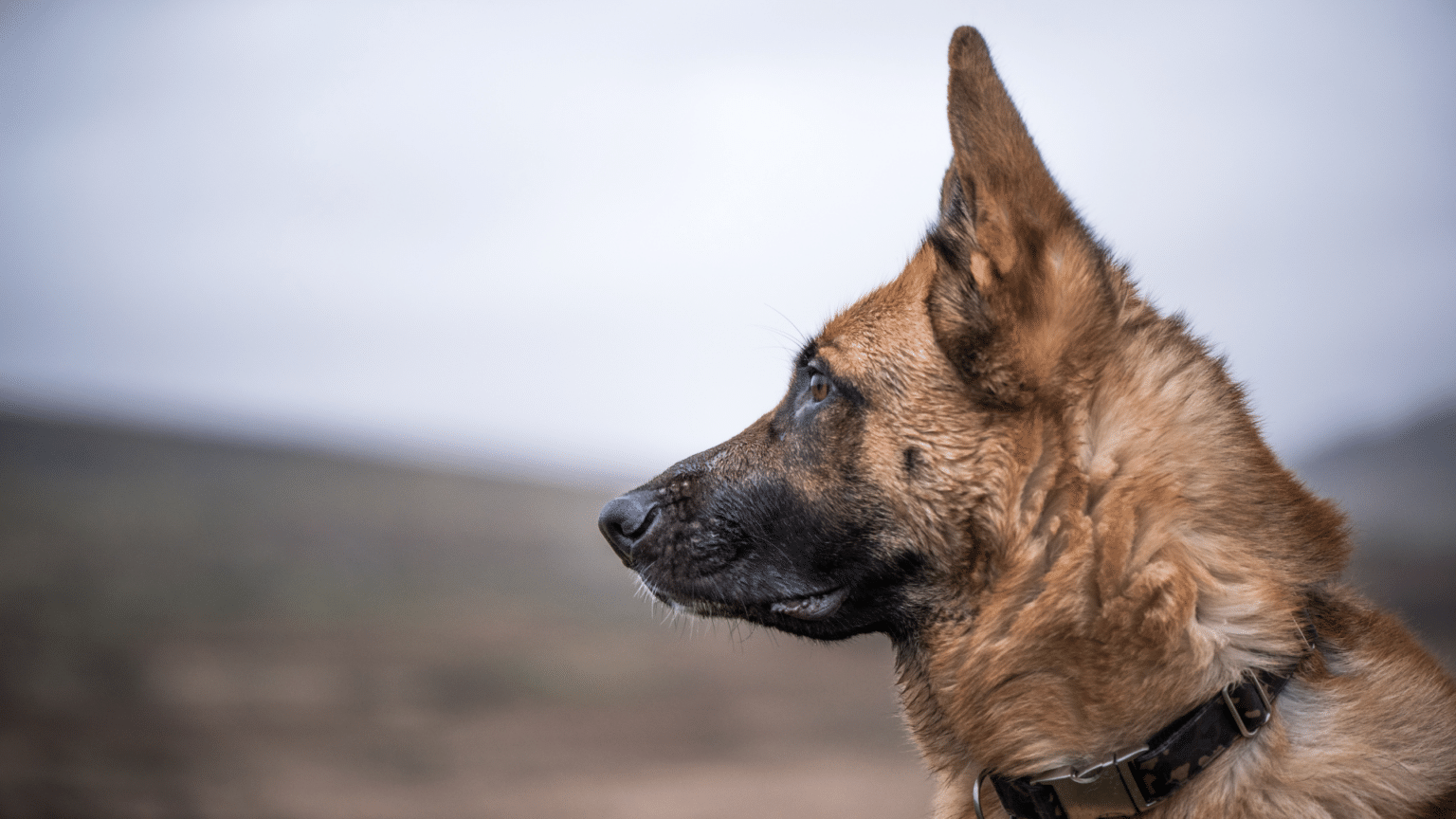 Home | CB Security Solutions